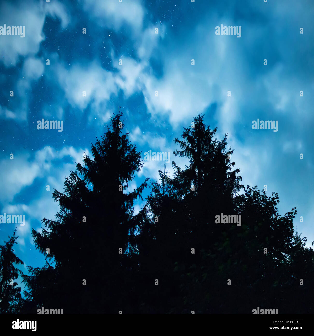 Blue sky clouds over forest hi-res stock photography and images - Alamy