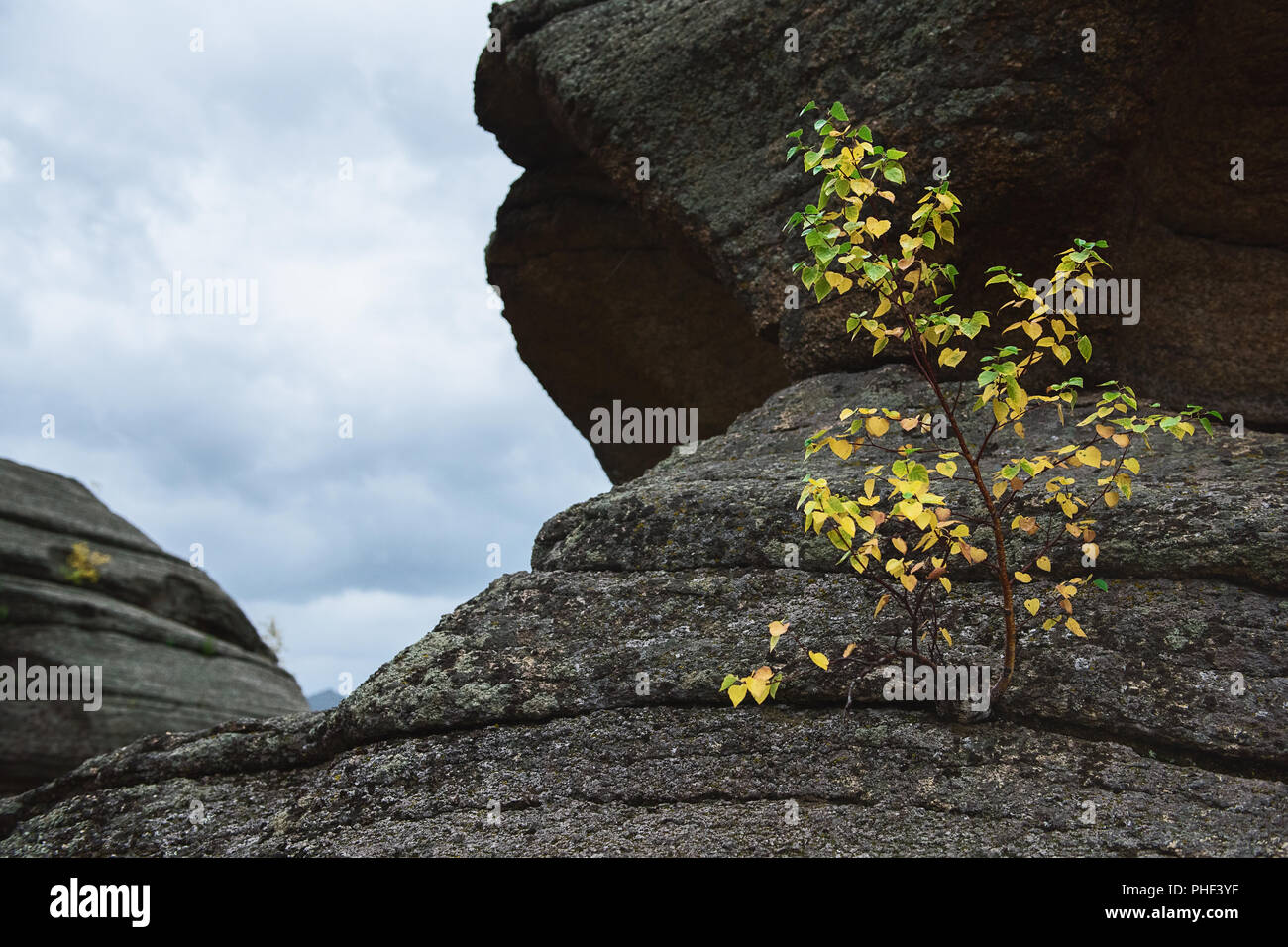 Perseverance rocks hi-res stock photography and images - Alamy