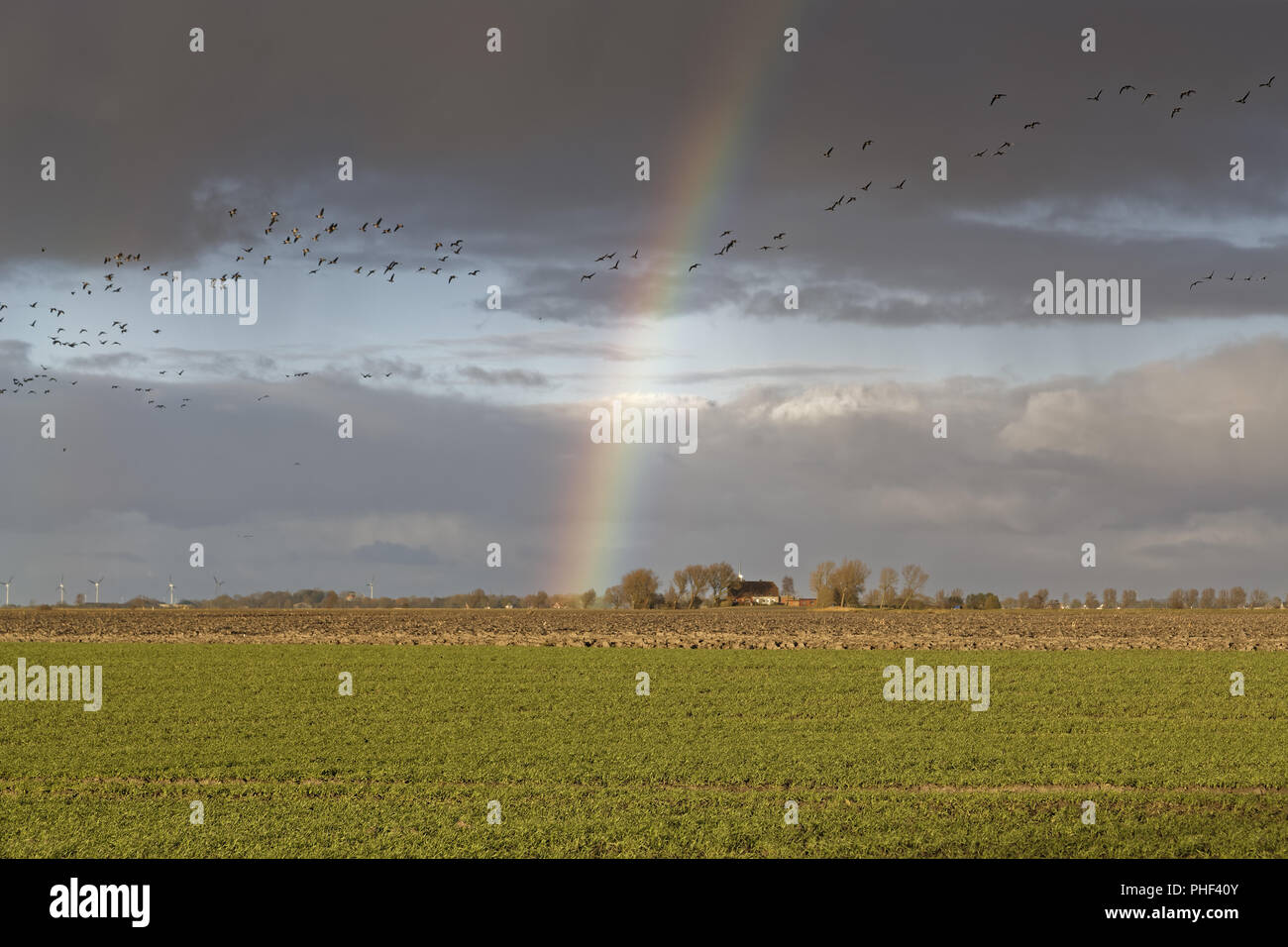 Rainbow in the fields hi-res stock photography and images - Alamy