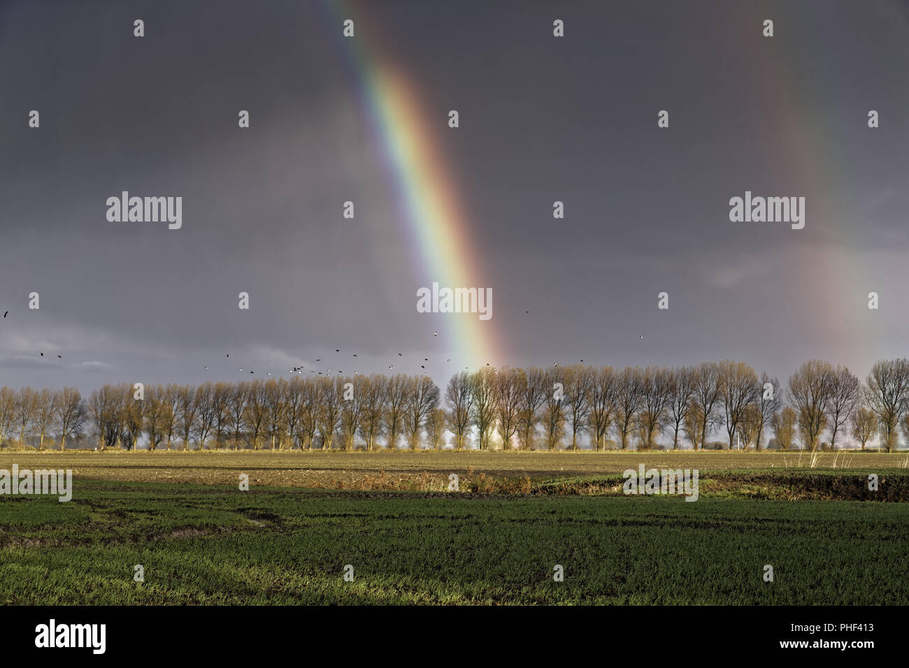 Rainbow in the fall Stock Photo - Alamy