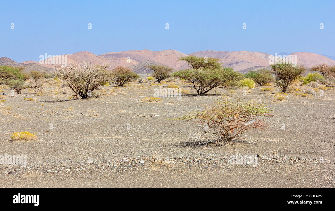 Bushland hi-res stock photography and images - Alamy