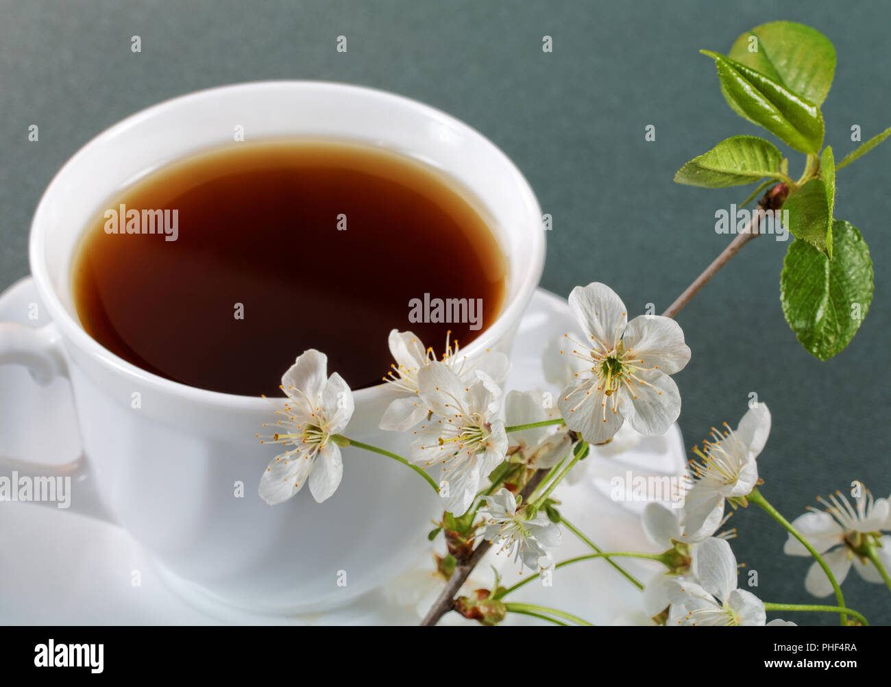 White cup of tea with flowers of a cherry summer Stock Photo - Alamy