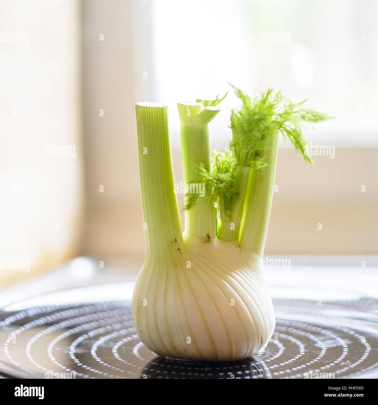 Fennel feathers hi-res stock photography and images - Alamy