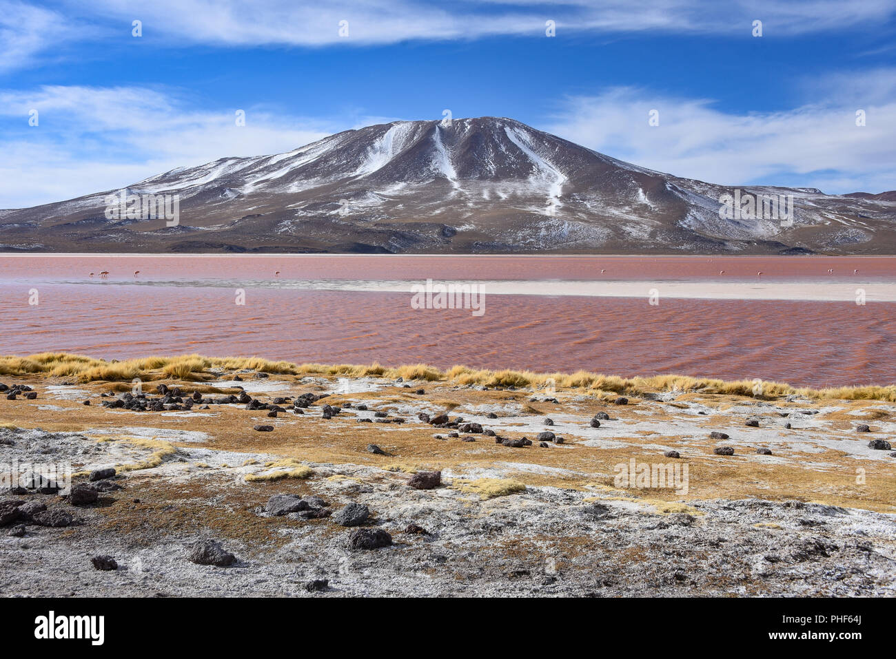 Laguna Colorada in the Eduardo Avaroa Andean Fauna Natural Reserve ...