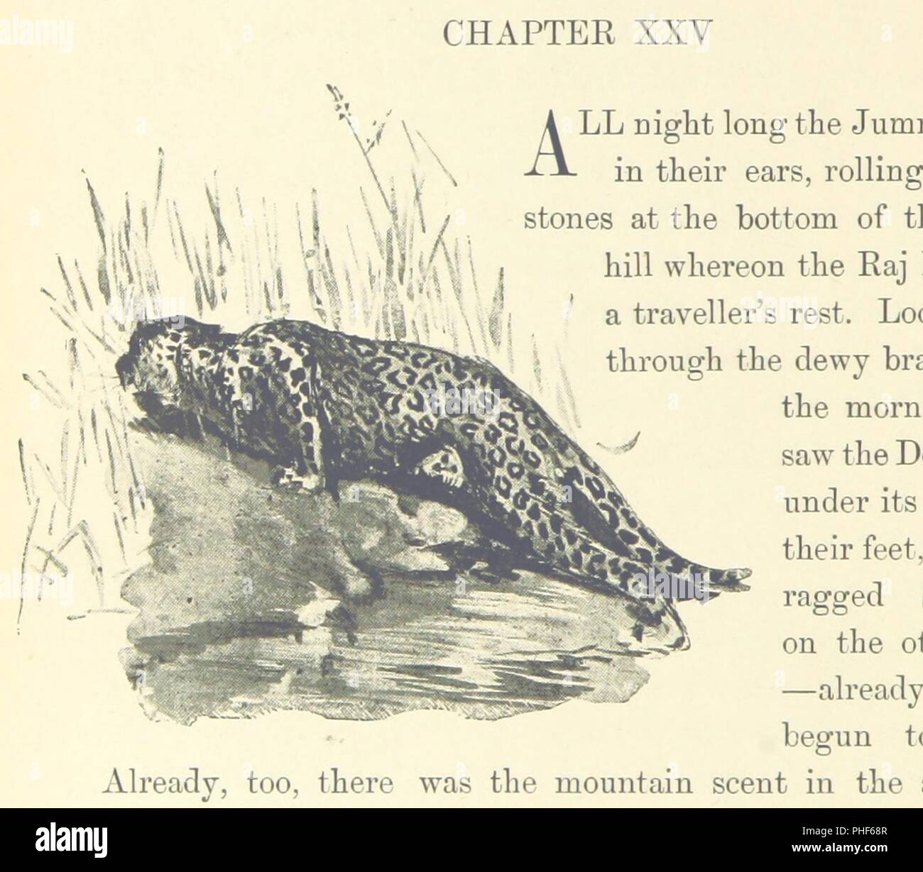 Memsahib hi-res stock photography and images - Alamy