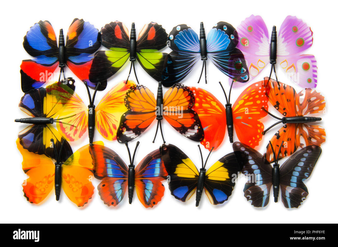 Colourful butterfly isolated on white background Stock Photo - Alamy