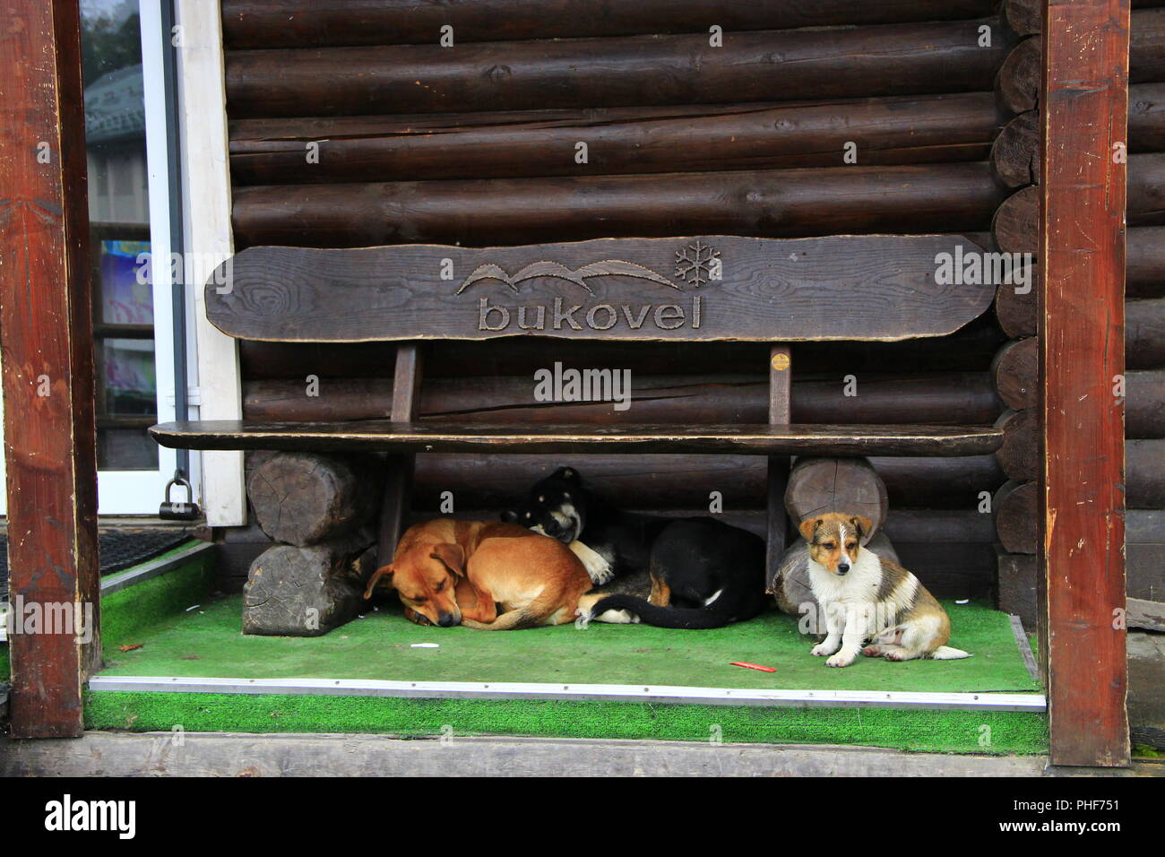 Next door neighbours hi-res stock photography and images - Alamy