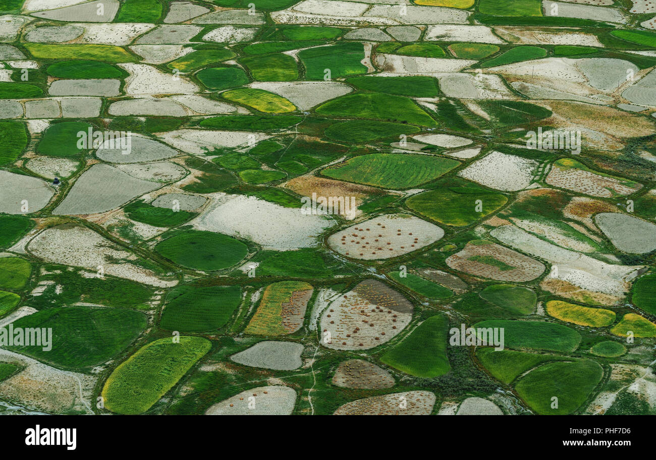 Field pattern hi-res stock photography and images - Alamy