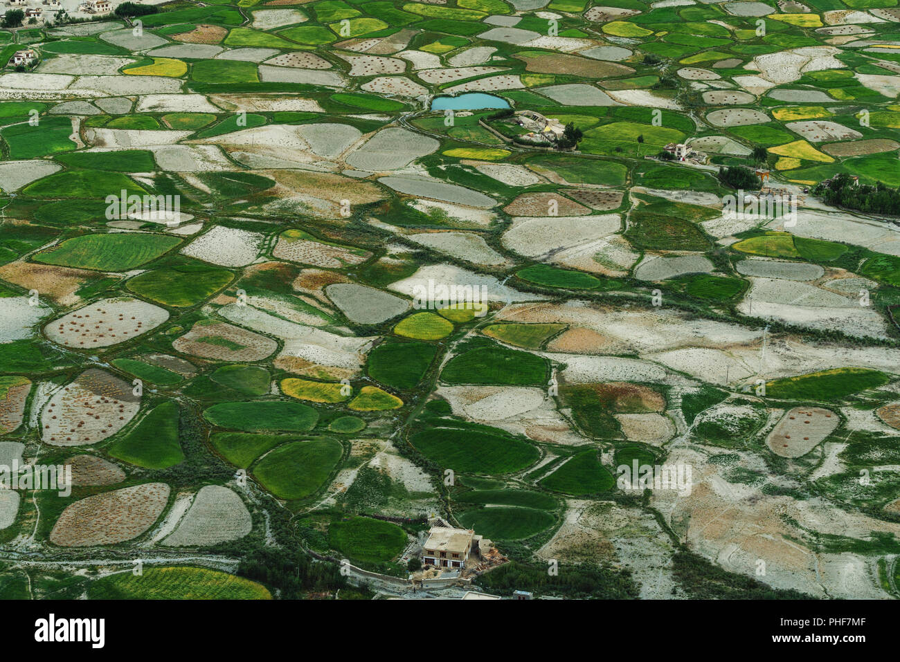 Aerial view landscape, Green rice field pattern in rural area Stock ...