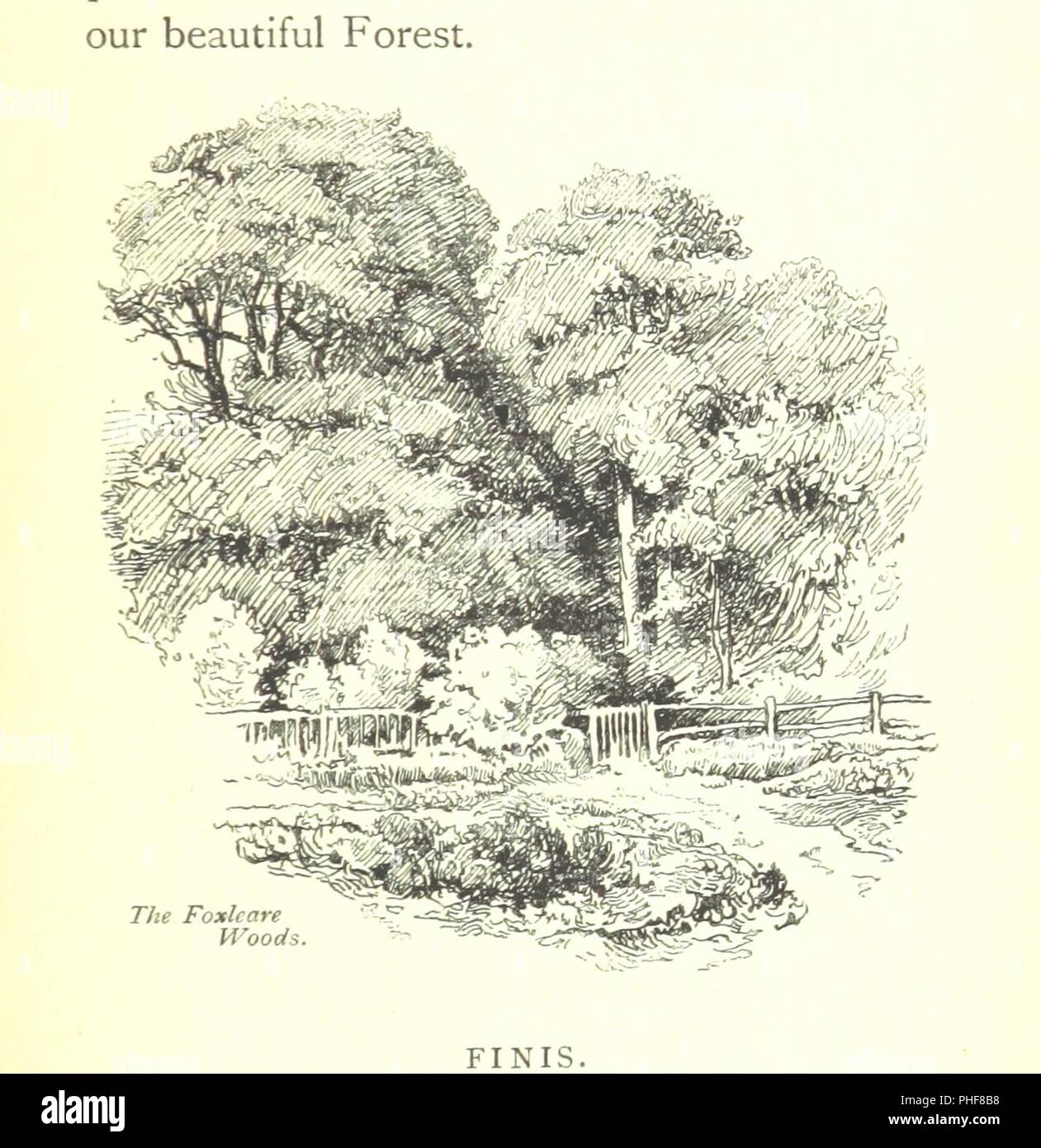 New forest history map hi-res stock photography and images - Alamy