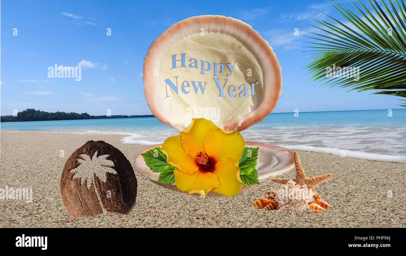 Seashell on the beach Stock Photo - Alamy