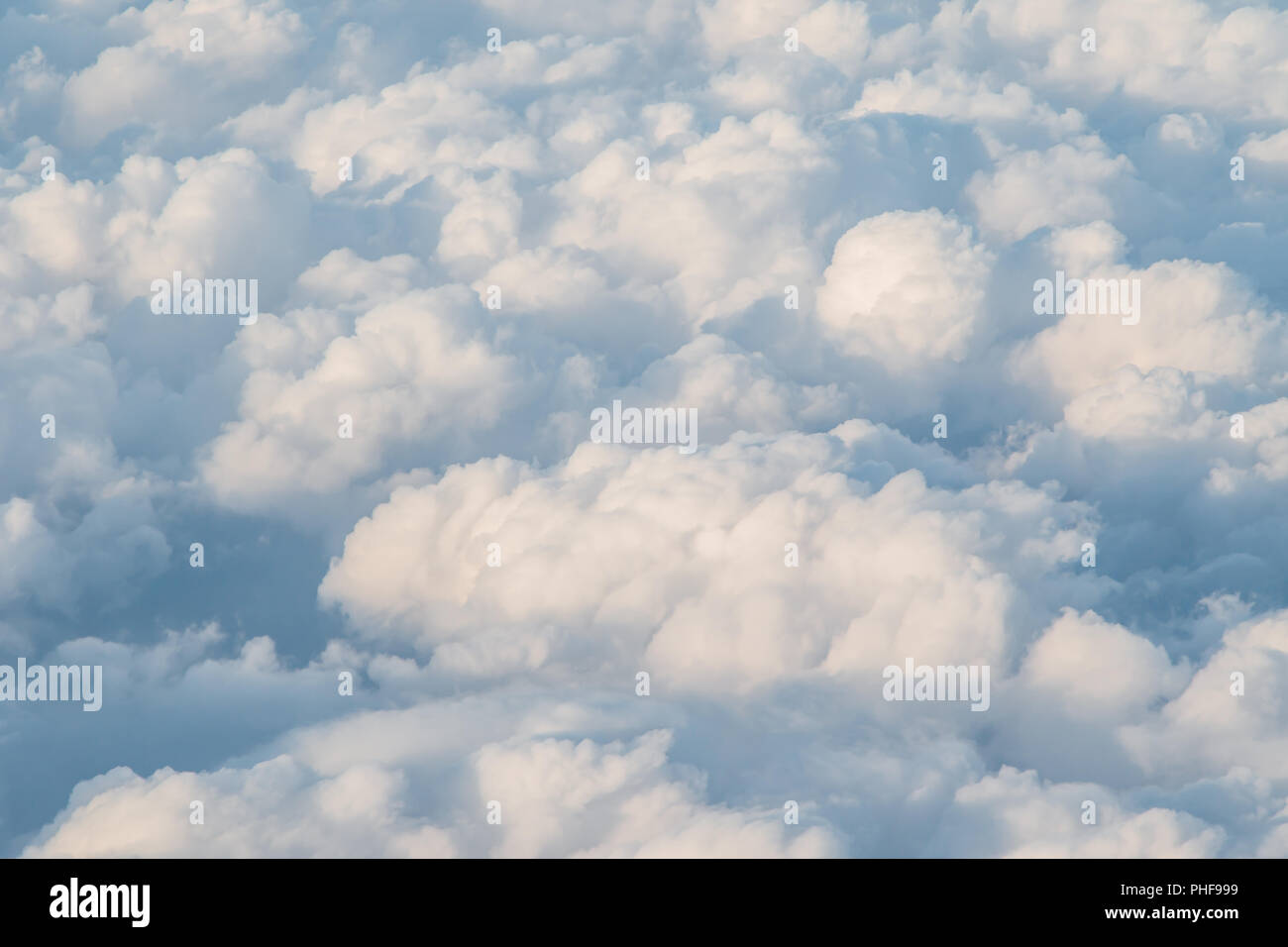 Lumpy hi-res stock photography and images - Alamy