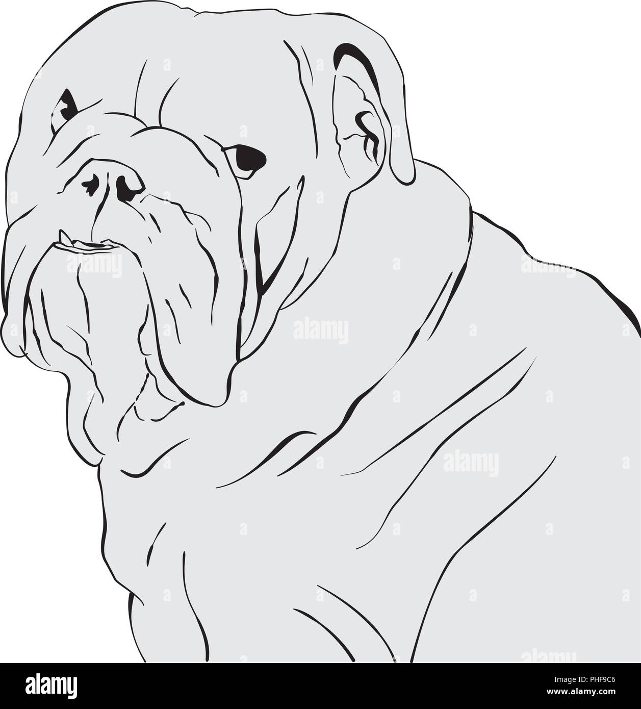 Bulldog Outline Clip Art