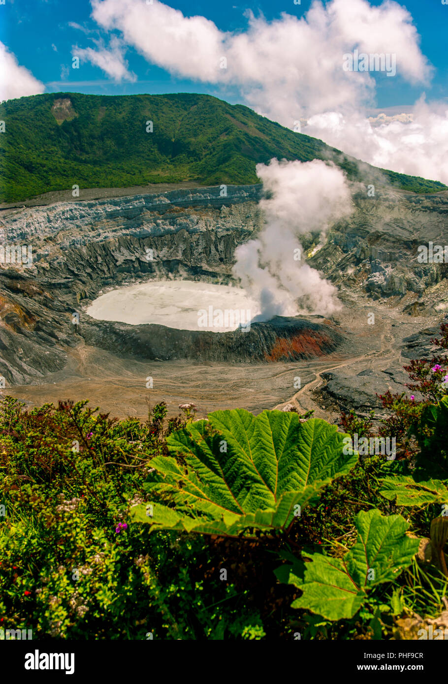 Plant in forground, volcano with blue sky and clouds Stock Photo - Alamy
