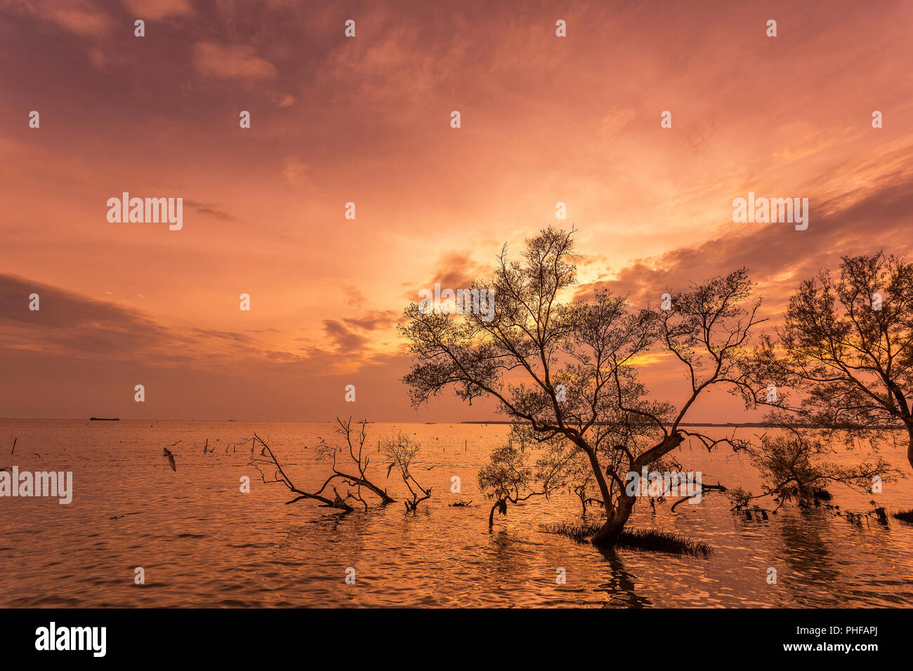 Sunrise With Trees And Water
