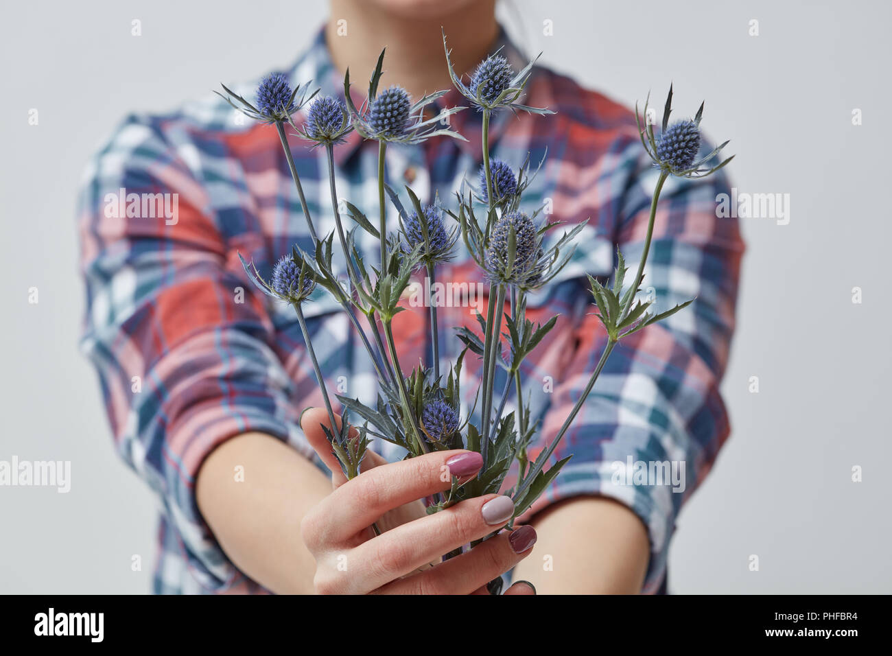 woman holding blue flowers eryngium Stock Photo - Alamy