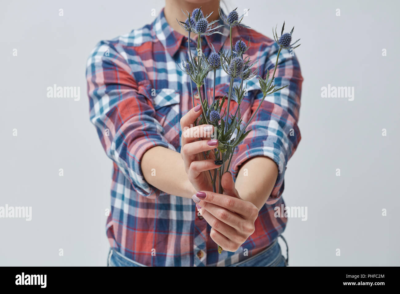 woman holding blue flowers eryngium Stock Photo - Alamy