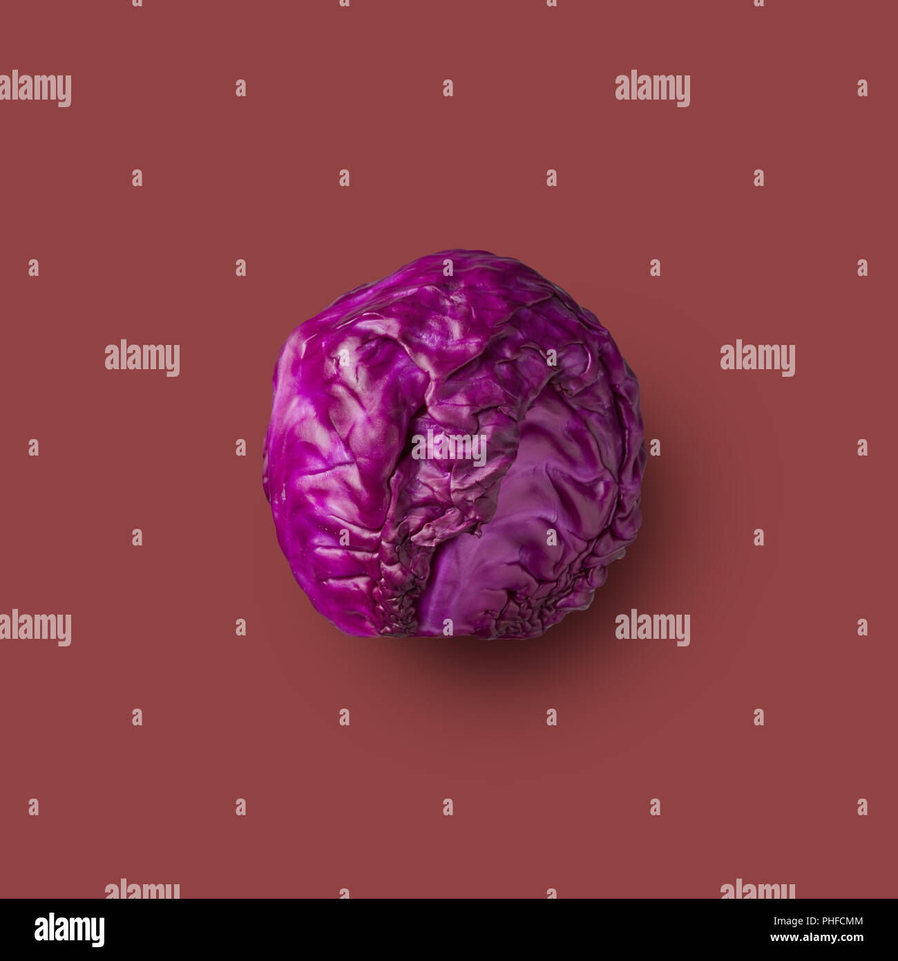Red cabbage isolated on a blue background Stock Photo - Alamy