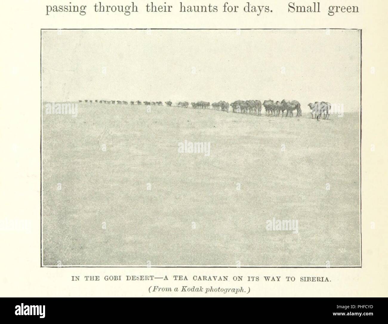 Image from page 456 of 'From the Arctic Ocean to the Yellow Sea. The ...