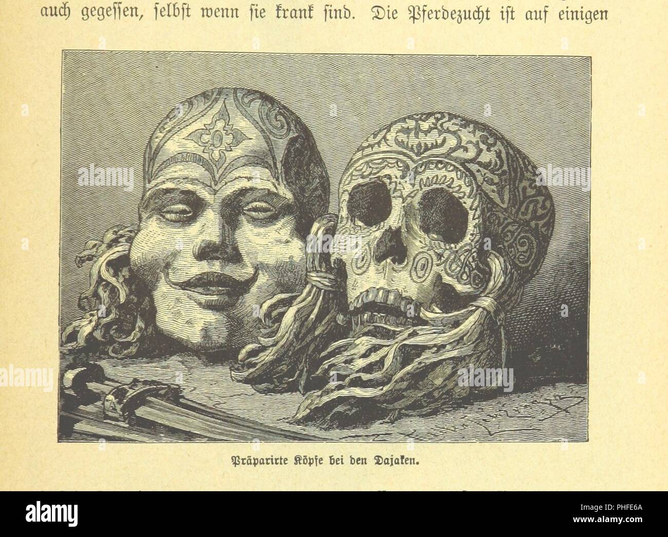 Image from page 533 of 'Der Mensch und seine Rassen. Mit ...