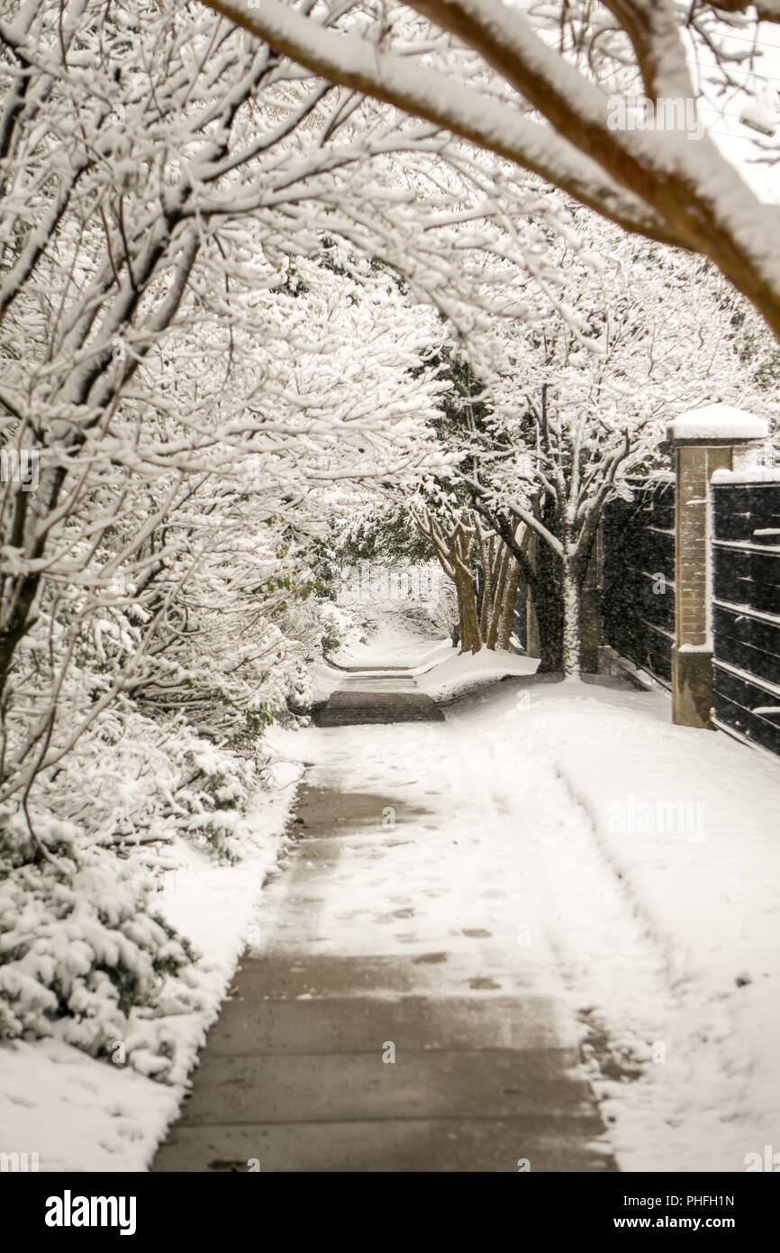 Alley covered snow in hi-res stock photography and images - Alamy