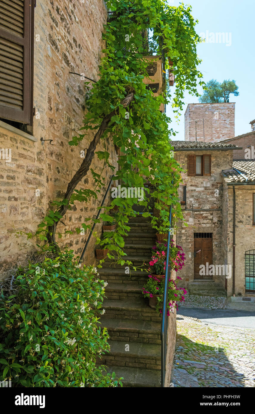 Spello italy hi-res stock photography and images - Alamy