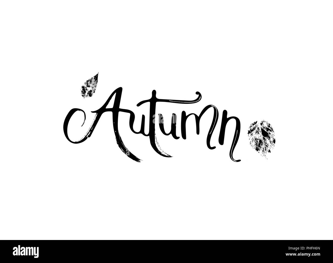 Autumn quote. Handwritten lettering with decoration. Element for season ...
