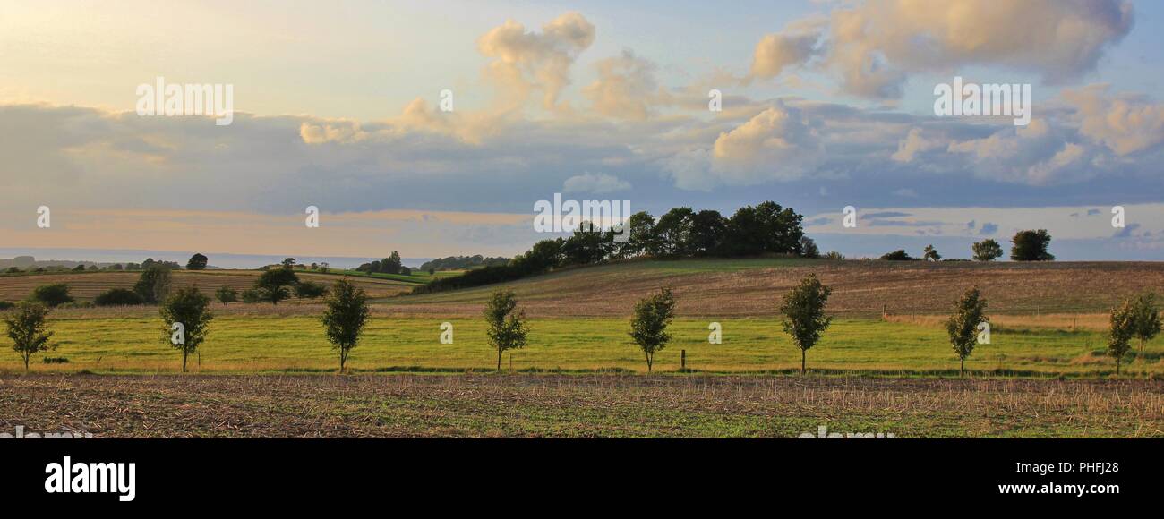 Rural summer scene in Denmark Stock Photo - Alamy