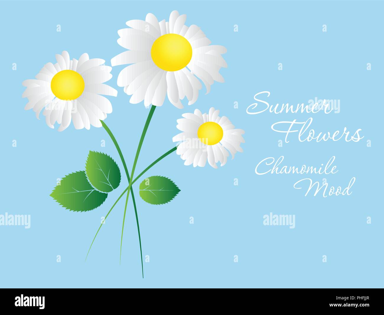 Daisy flowers on a blue background. Template for postcards and business ...
