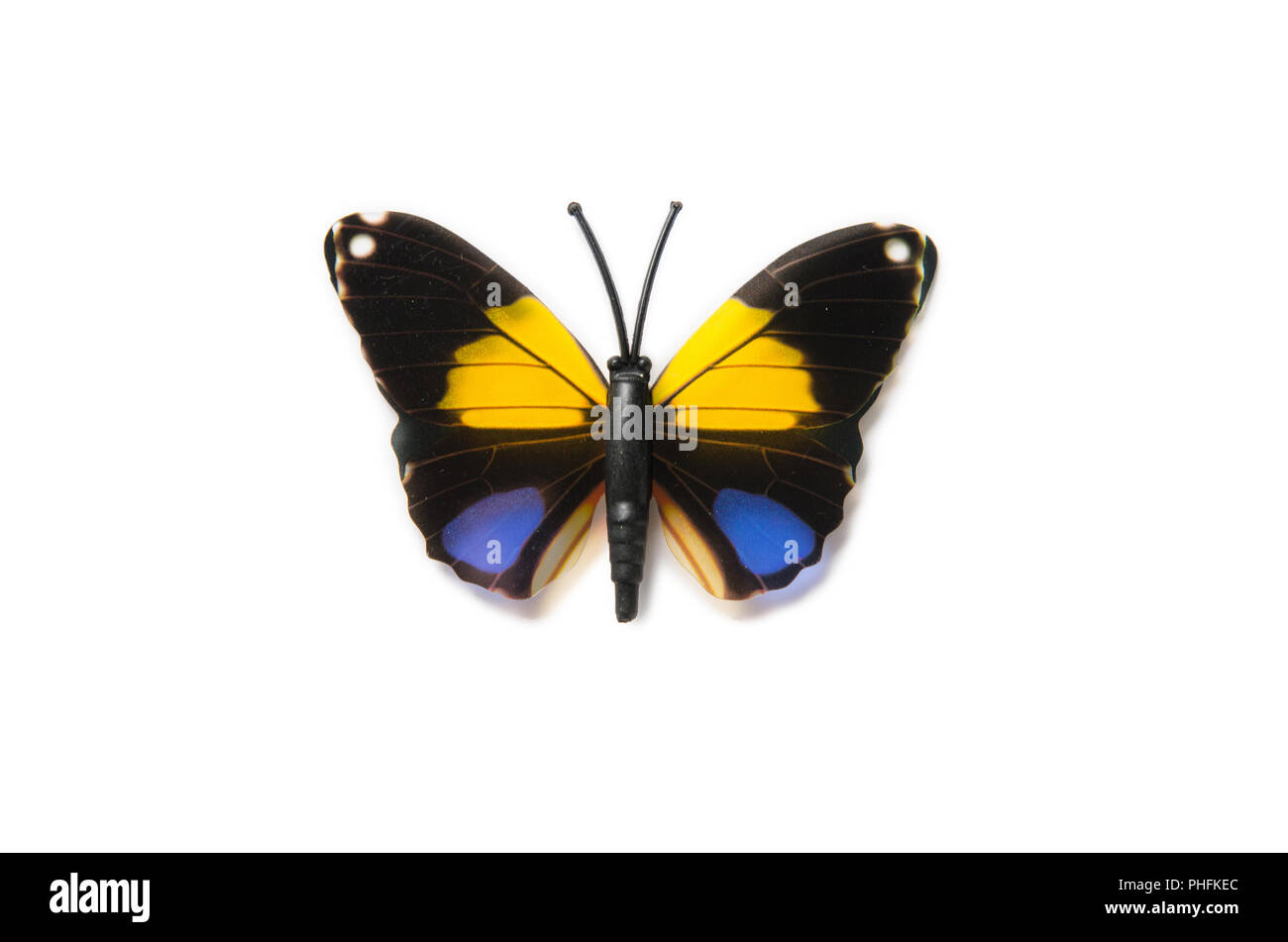 Colourful butterfly isolated on white background Stock Photo - Alamy
