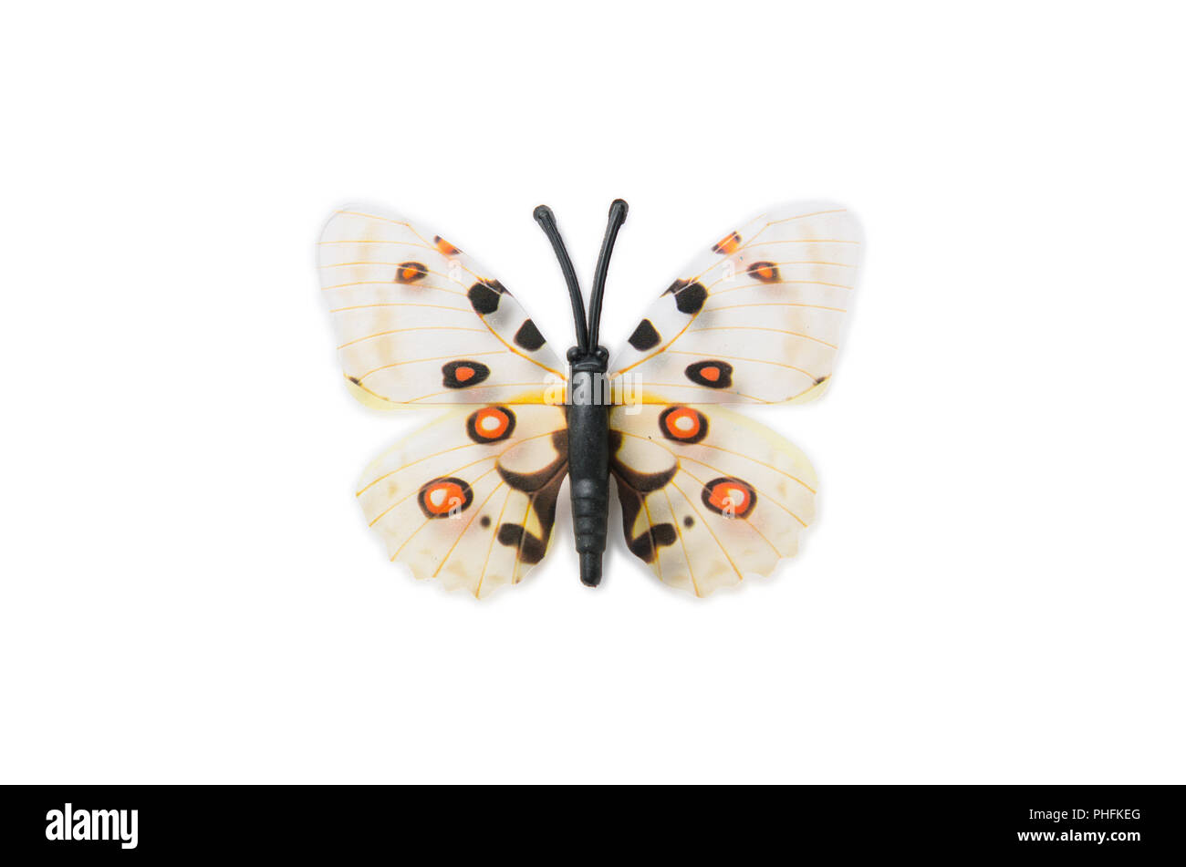Colourful butterfly isolated on white background Stock Photo - Alamy