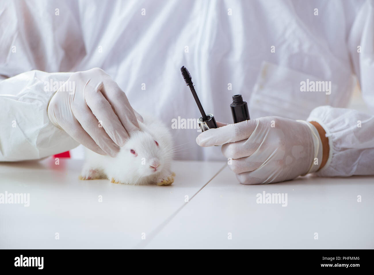 White rabbit in scientific lab experiment Stock Photo - Alamy