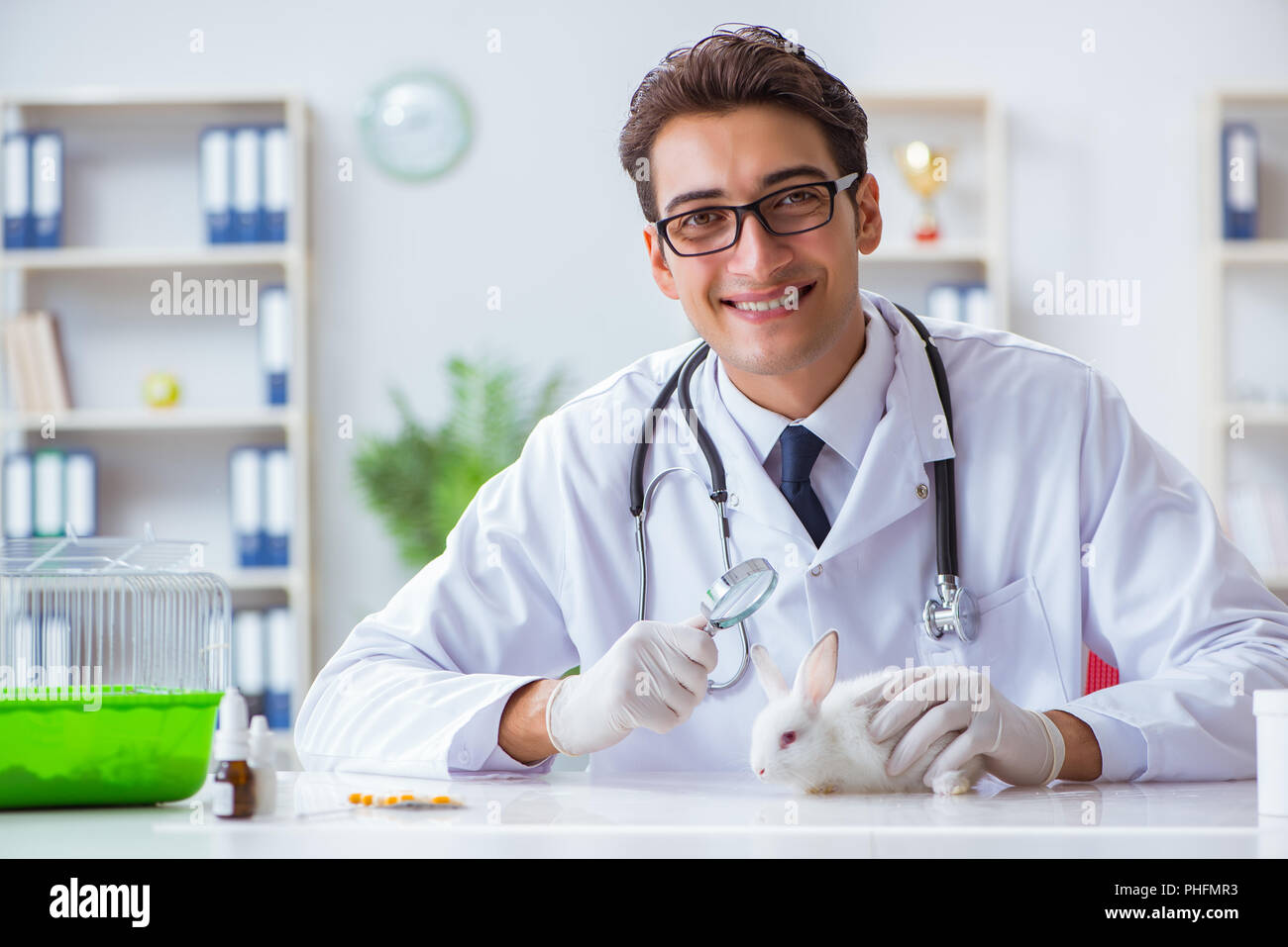 Vet doctor examining rabbit in pet hospital Stock Photo - Alamy