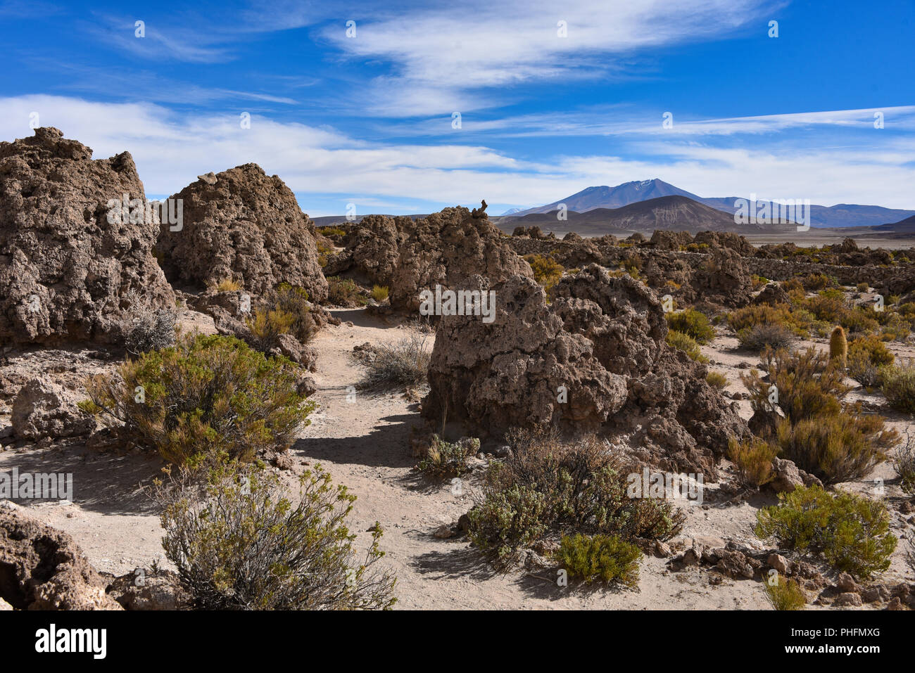 Ancient human remains buried in traditional Chullpas at the Necropolis ...