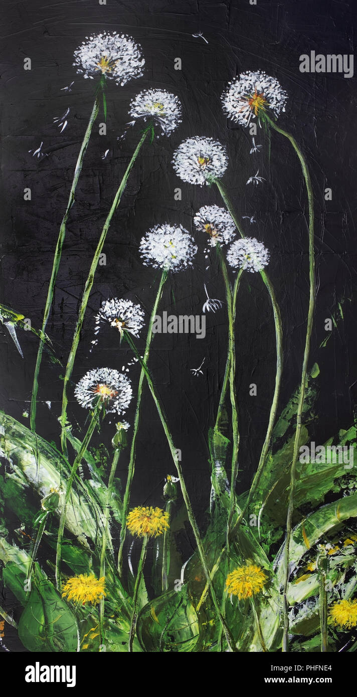 June dandelions are danced at night Stock Photo - Alamy