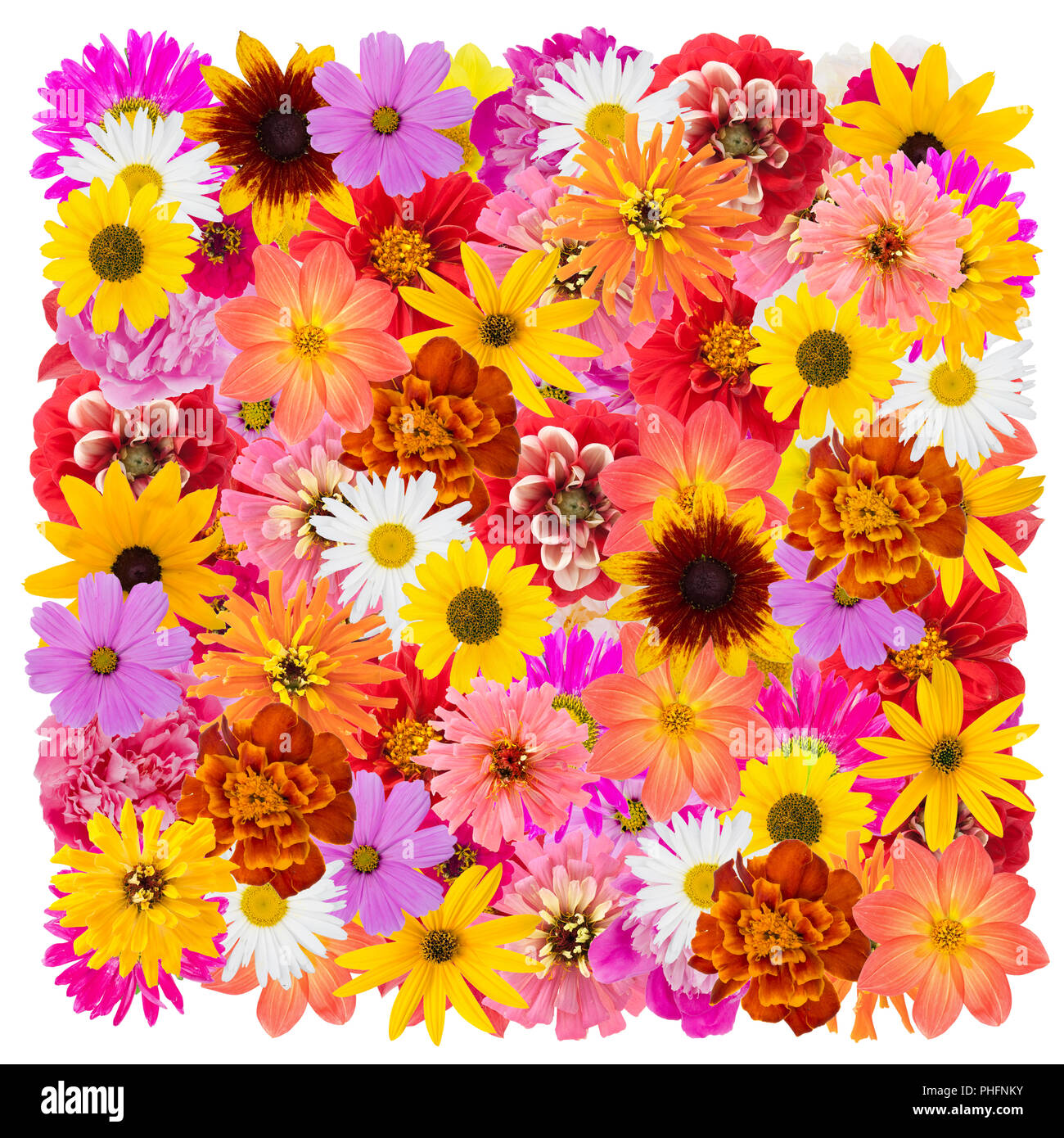 Big square hi-res stock photography and images - Alamy