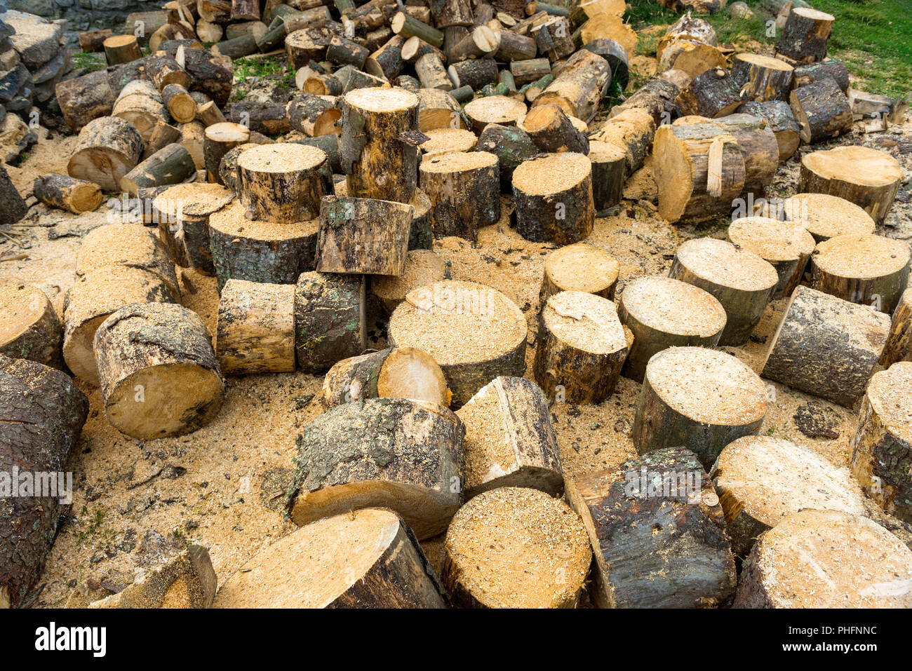 Wooden logs of oak tree Stock Photo - Alamy