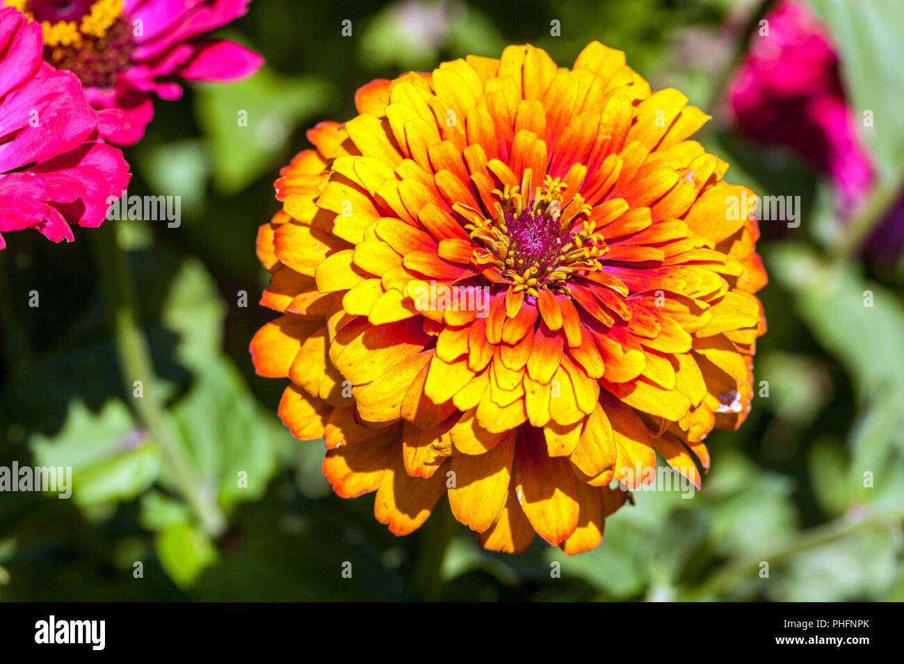 Caroussel hi-res stock photography and images - Alamy