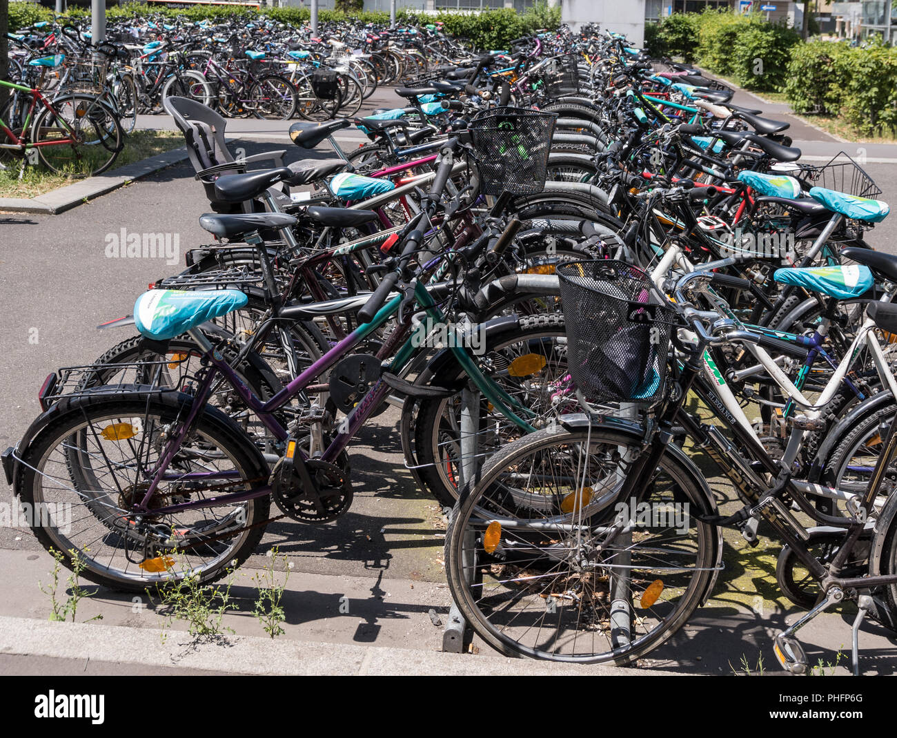 many bicycles in the city in a parking lot Stock Photo - Alamy