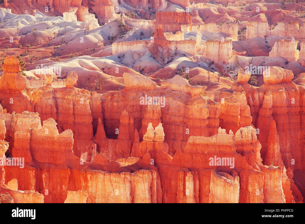 Bryce cany hi-res stock photography and images - Alamy