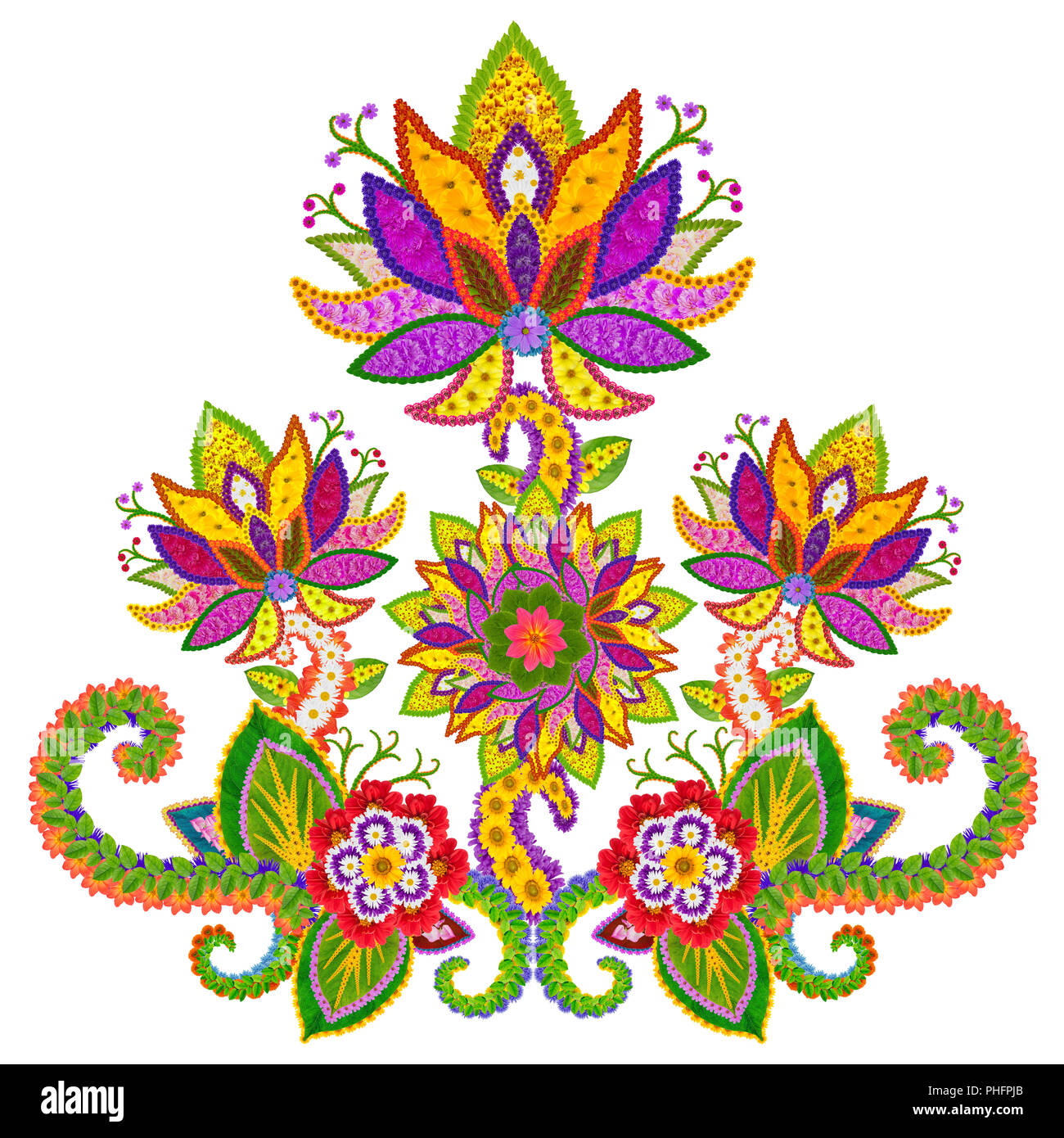 Persian Sun Lotus isolated Stock Photo - Alamy