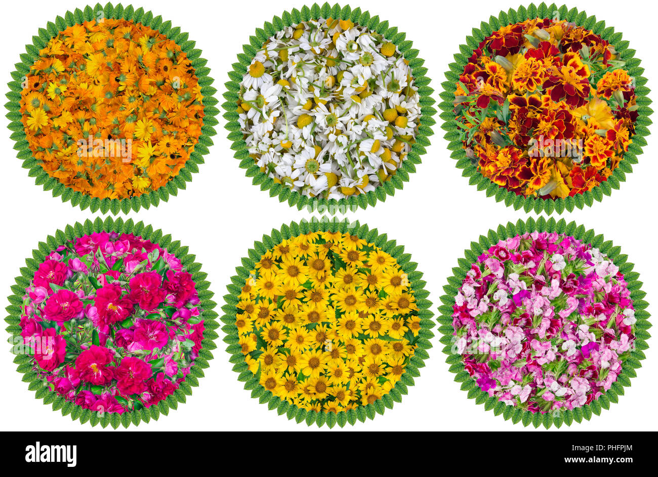 Medical flowers hi-res stock photography and images - Alamy