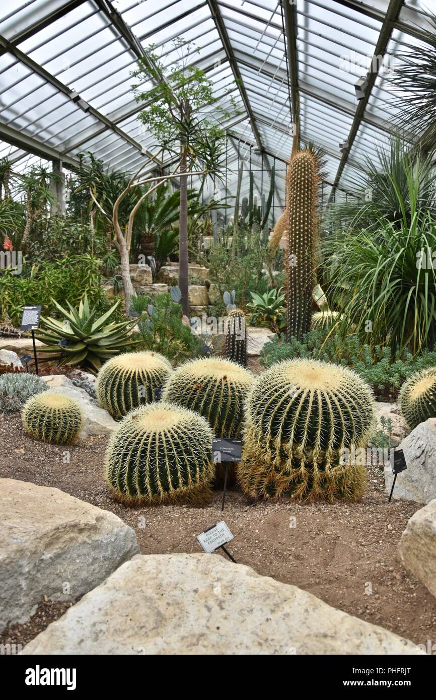 A view of Kew Royal Botanical Gardens, London, United Kingdom Stock ...