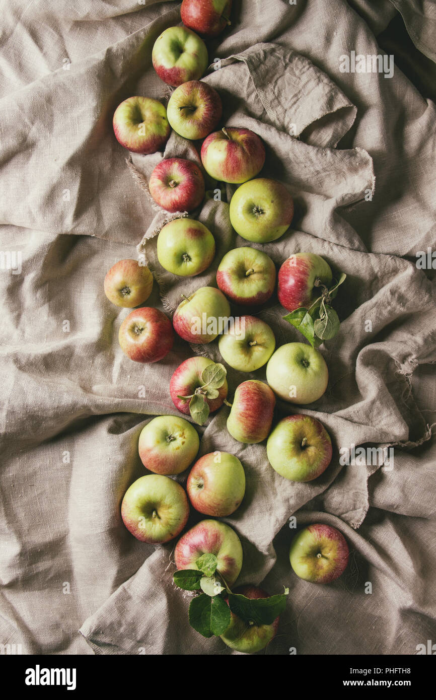 Ripe gardening apples Stock Photo - Alamy