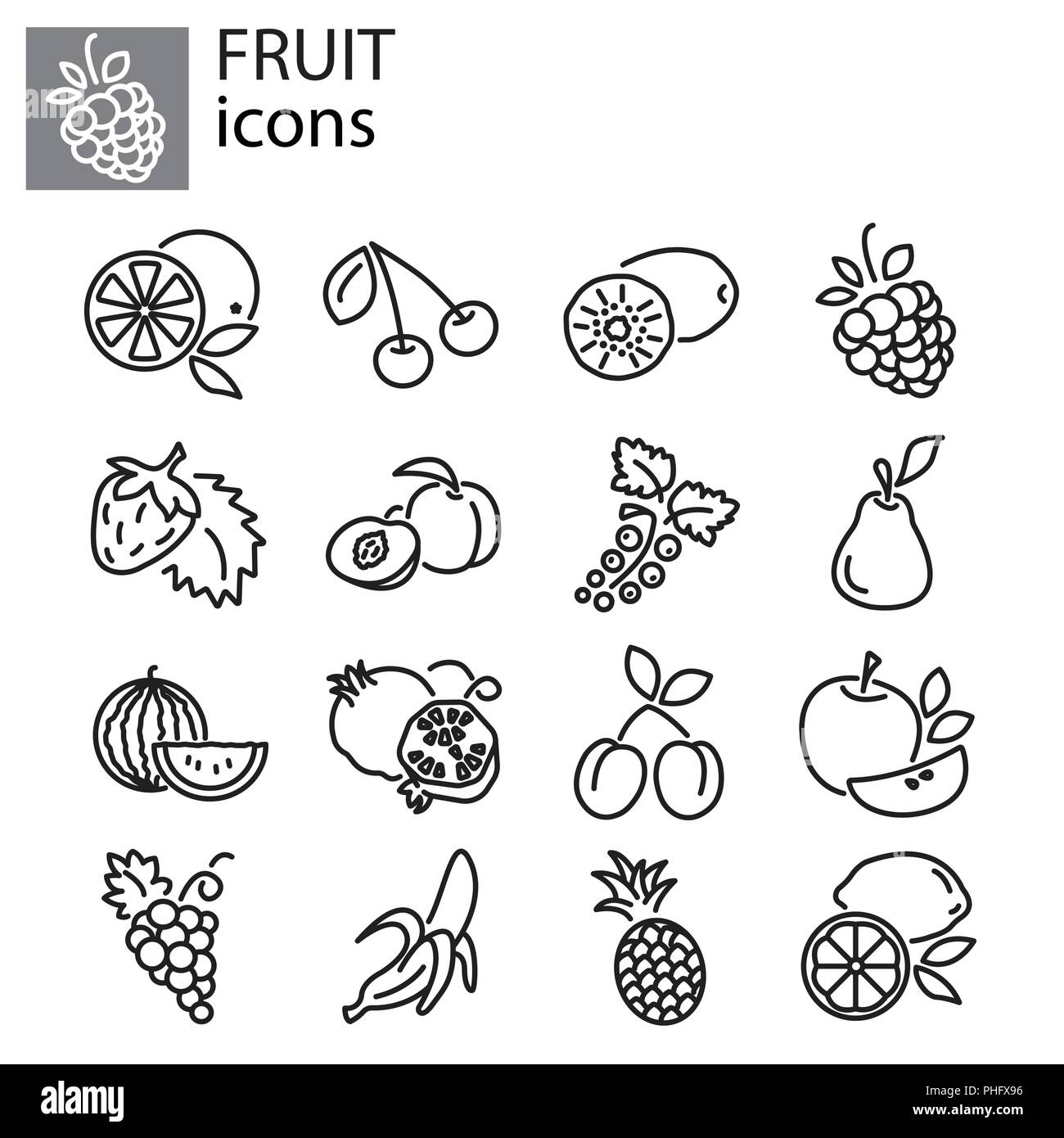 Garnet fruit on white Stock Vector Images - Alamy