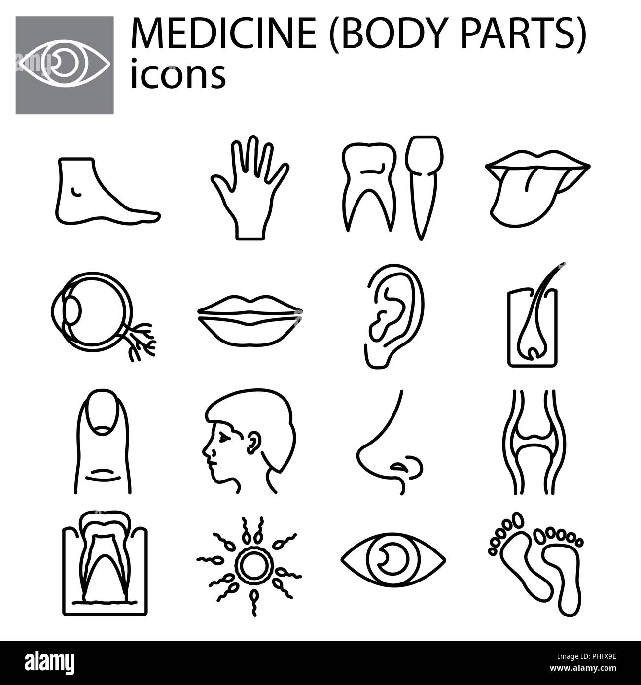Web line set. Medicine (body parts) black on white background Stock ...