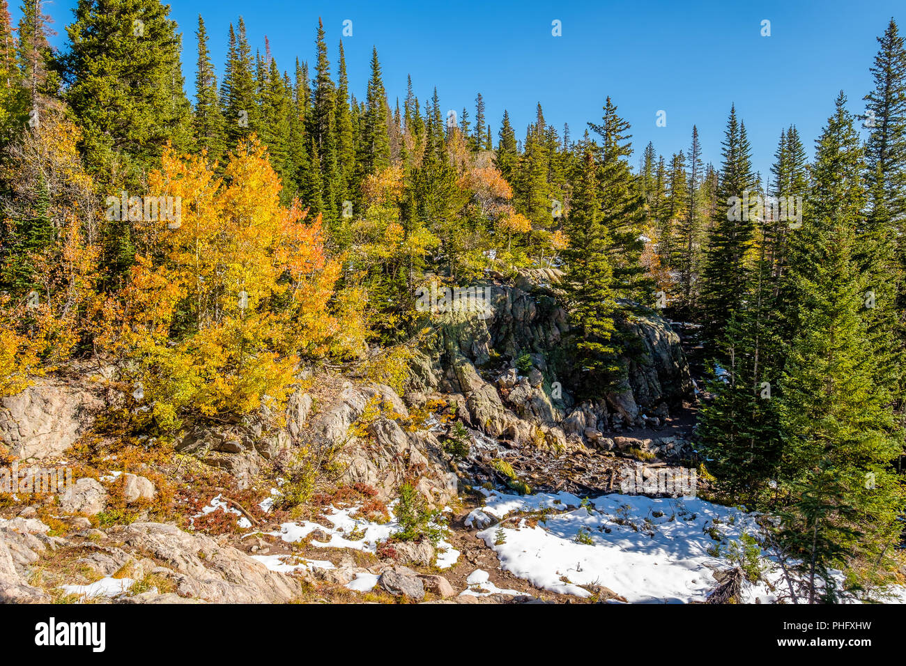 Season changing, first snow and autumn trees Stock Photo - Alamy