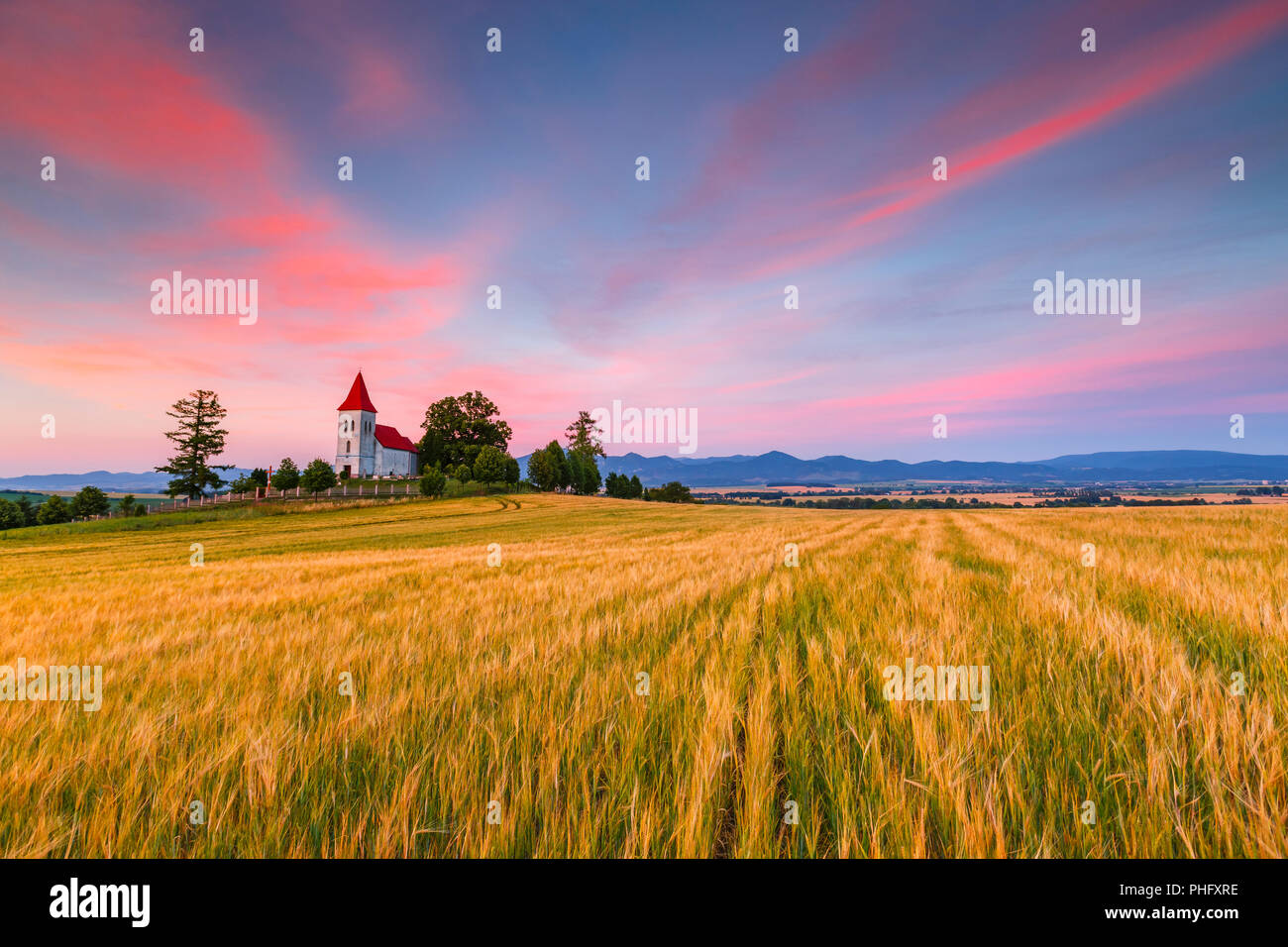 Rural landscape with wheat field and a church in Turiec region, central ...