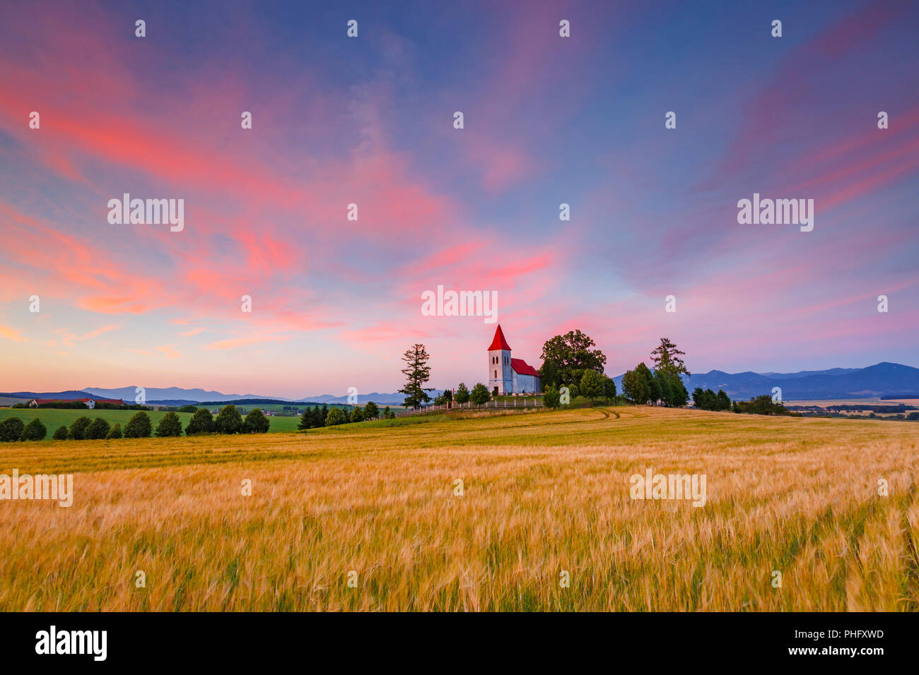 Rural landscape with wheat field and a church in Turiec region, central ...