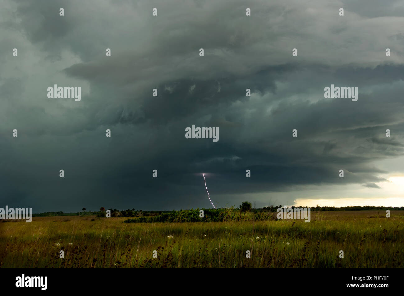 Thunder and lightning storm over the Everglades swamp in Big Cypress ...